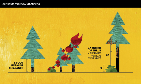 Fire Prevention | Hamilton Tree Service, Inc.